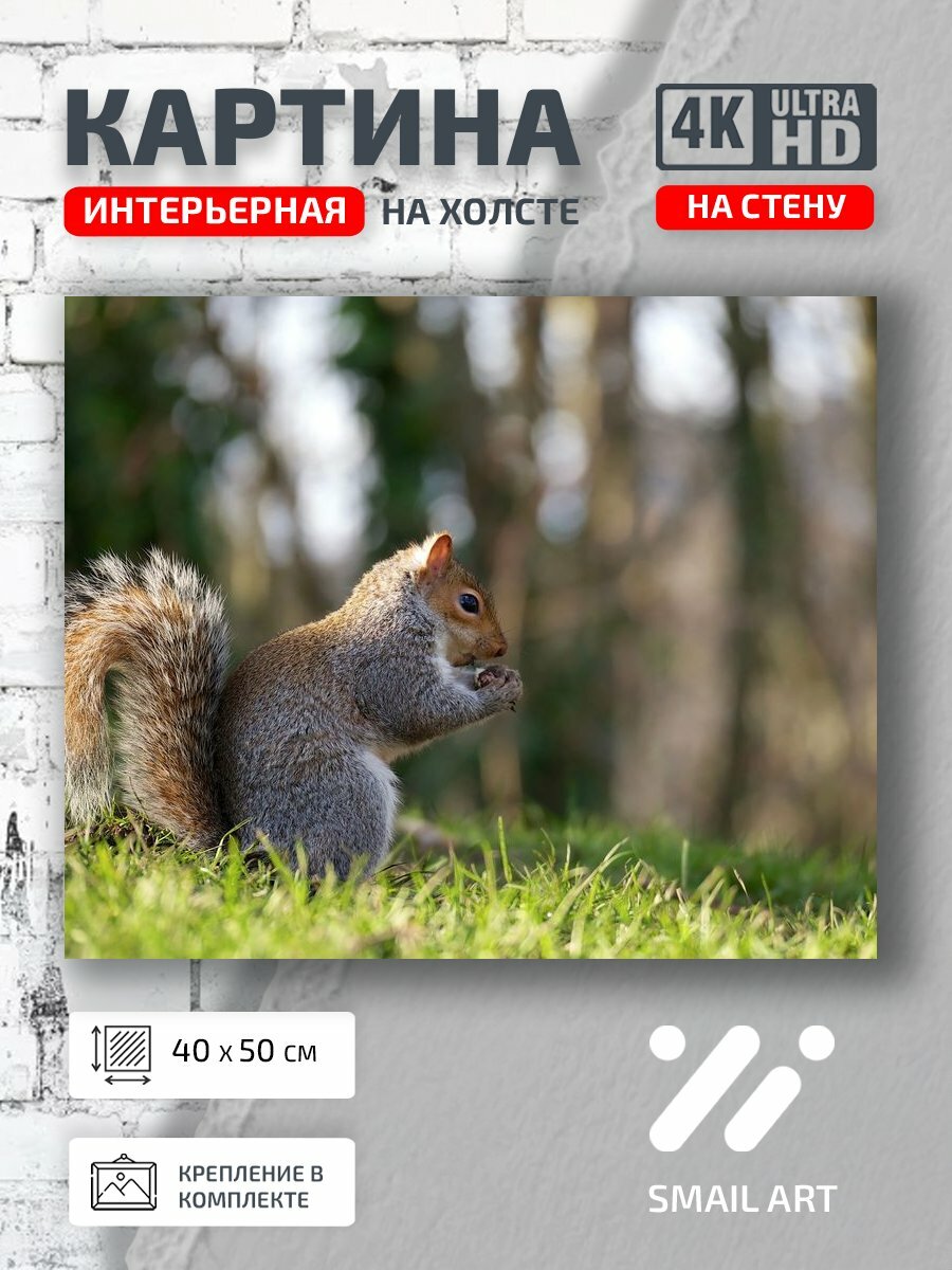 Картина на холсте интерьерная 40 на 50 на стену Лес Landscape для гостиной пейзаж интерьер