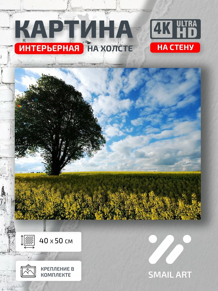 Картина на холсте интерьерная 40 на 50 на стену Поле Landscape для гостиной пейзаж интерьер