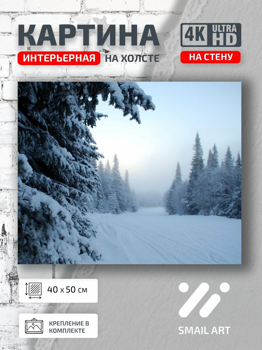 Картина на холсте интерьерная 40 на 50 на стену Зима Landscape для спальни пейзаж интерьер