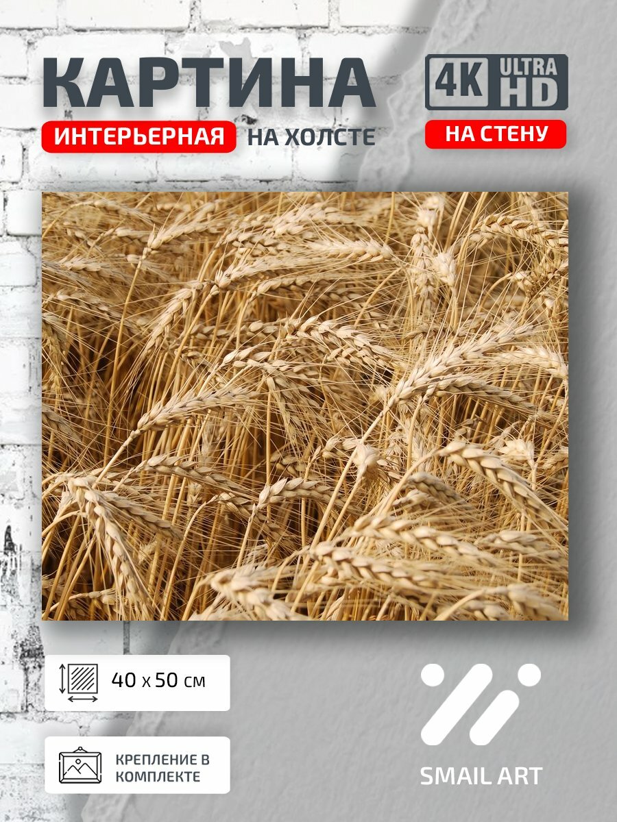 Картина на холсте интерьерная 40 на 50 на стену Поле Landscape для гостиной пейзаж интерьер