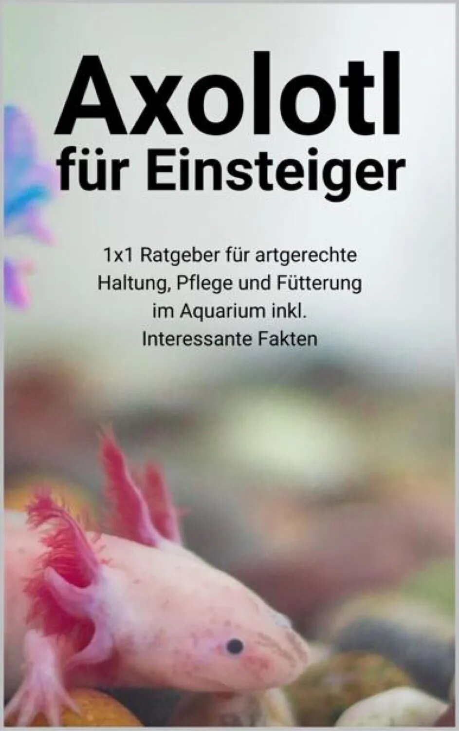 Axolotl für Einsteiger [Цифровая книга]