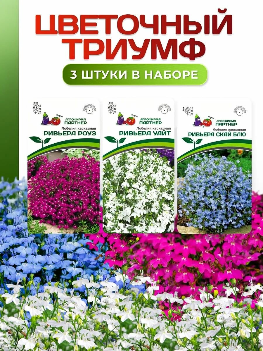 Семена набор: Цветочный триумф - Ривьера Роуз, Скай блю, Уайт