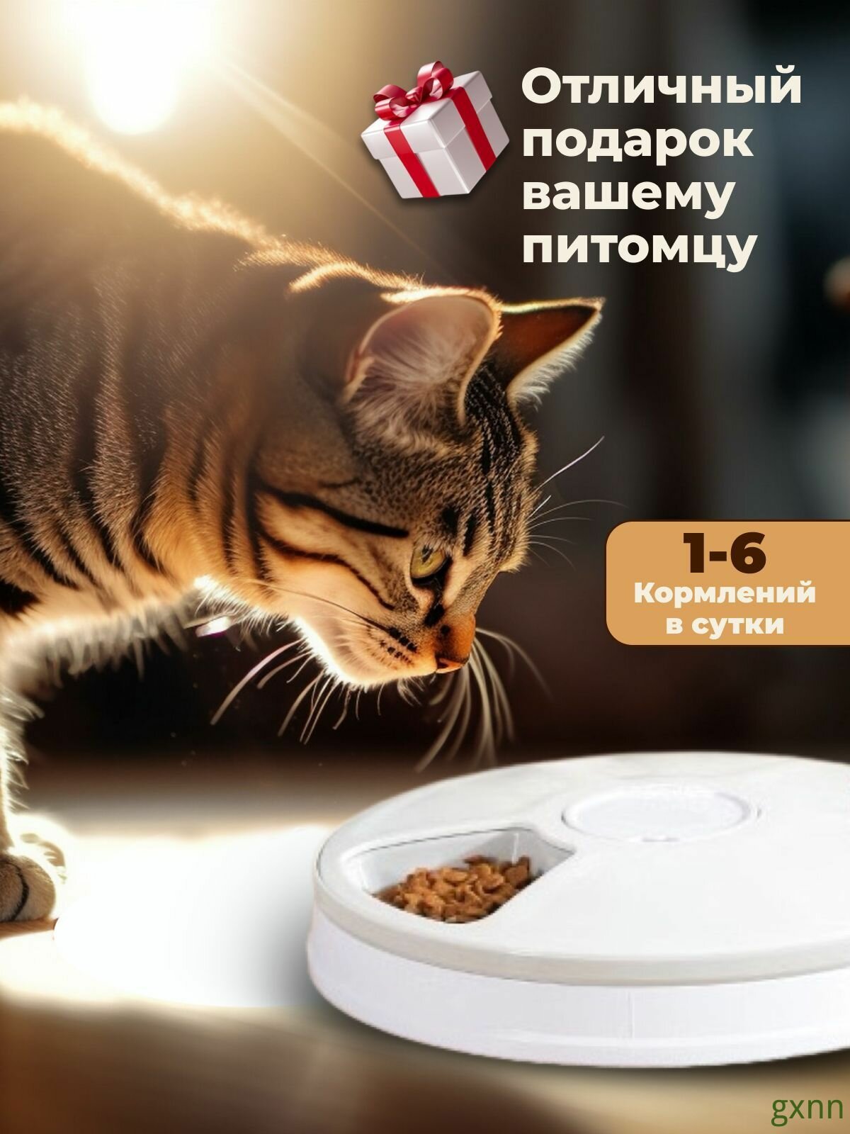 Автокормушка — фото 1