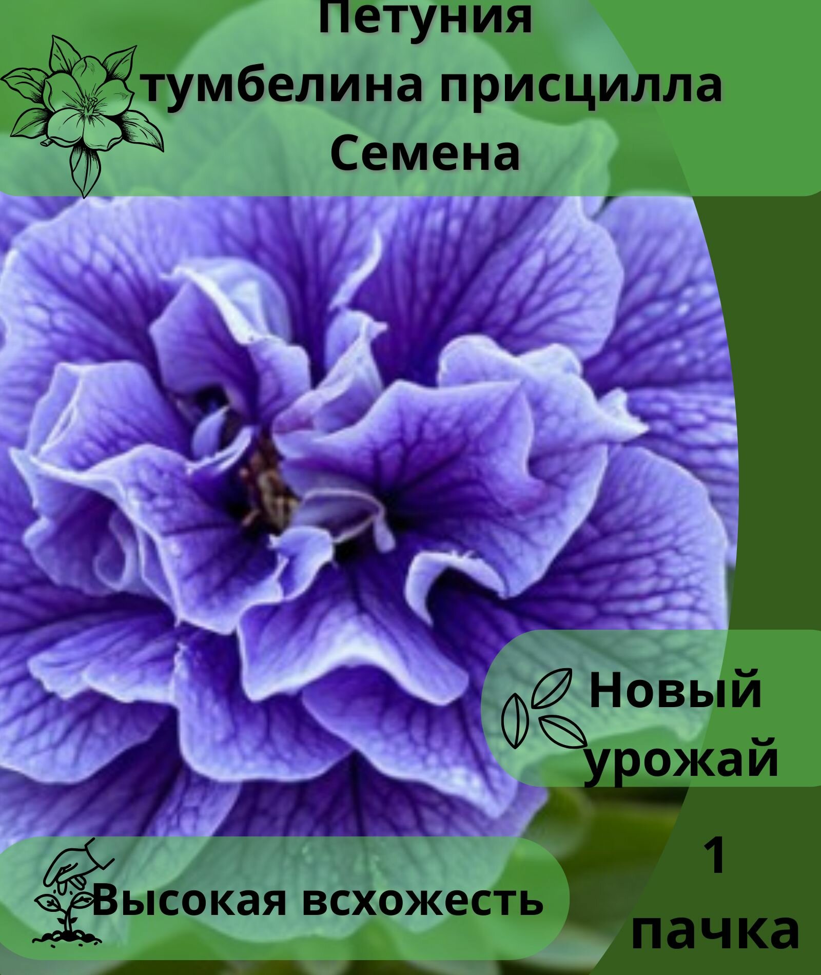 Петуния Тумбелина Присцилла, семена 10шт