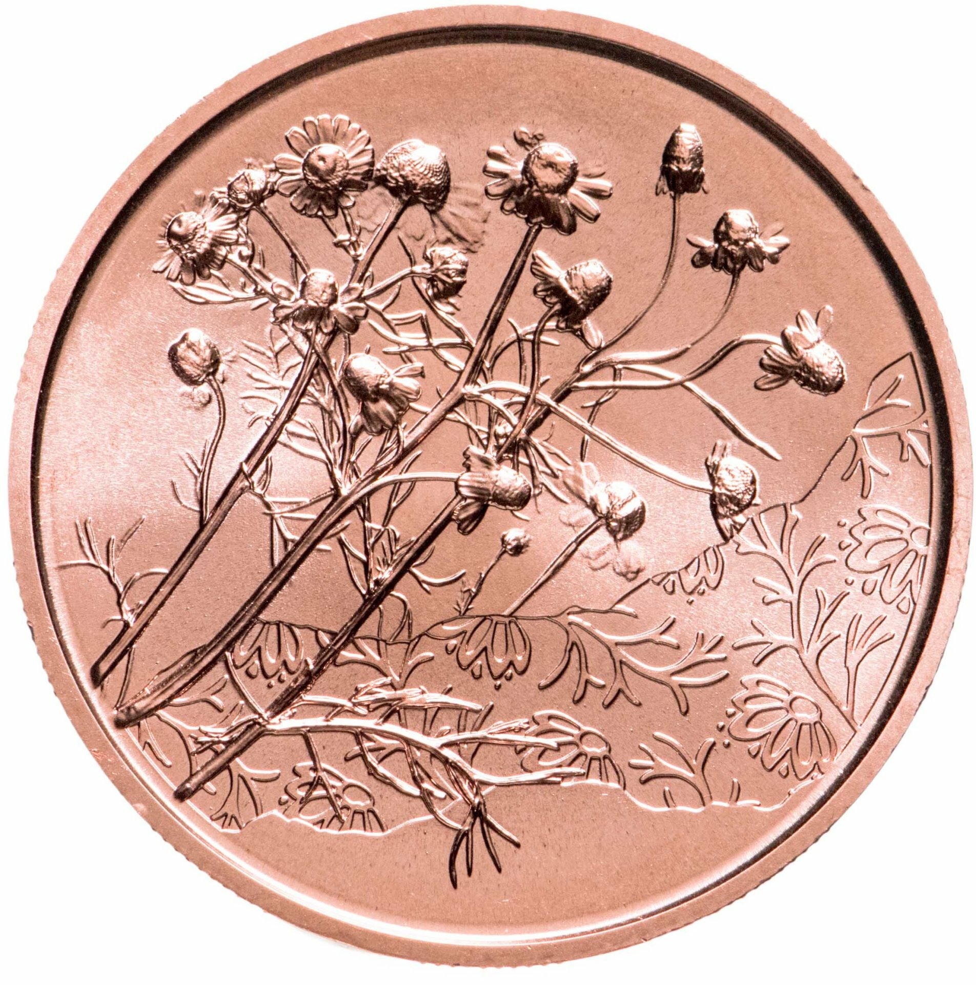 Австрия 10 евро 2023 Язык цветов - Ромашка, Медь, в сохранности UNC
