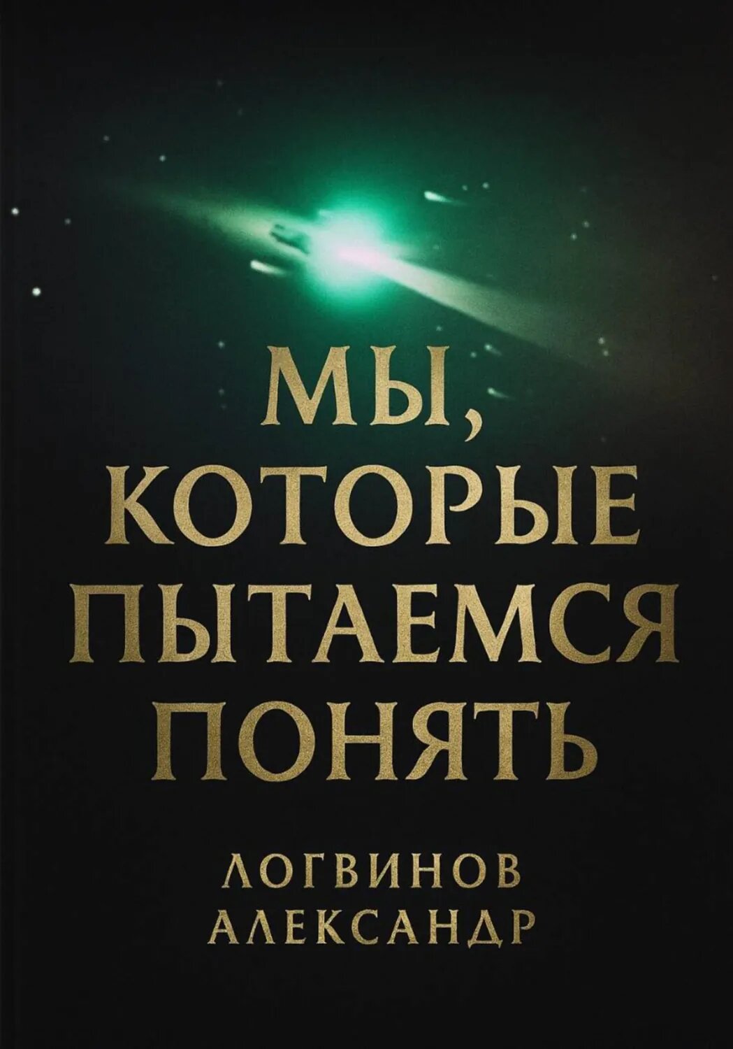 Мы, которые пытаемся понять [Цифровая книга]