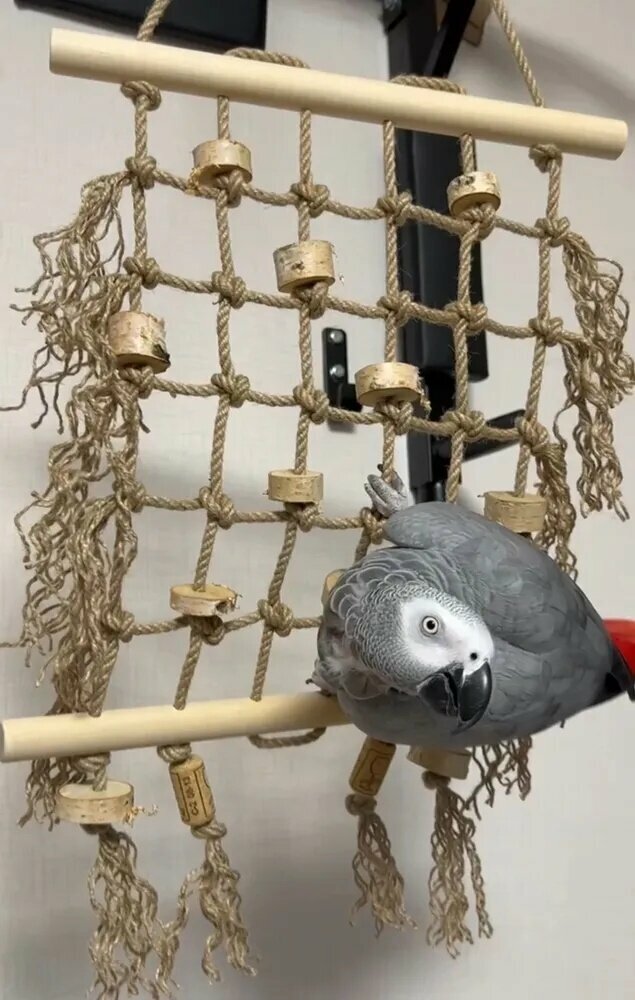 Игрушка для попугая - Пиратская сетка из джута с березовыми вставками