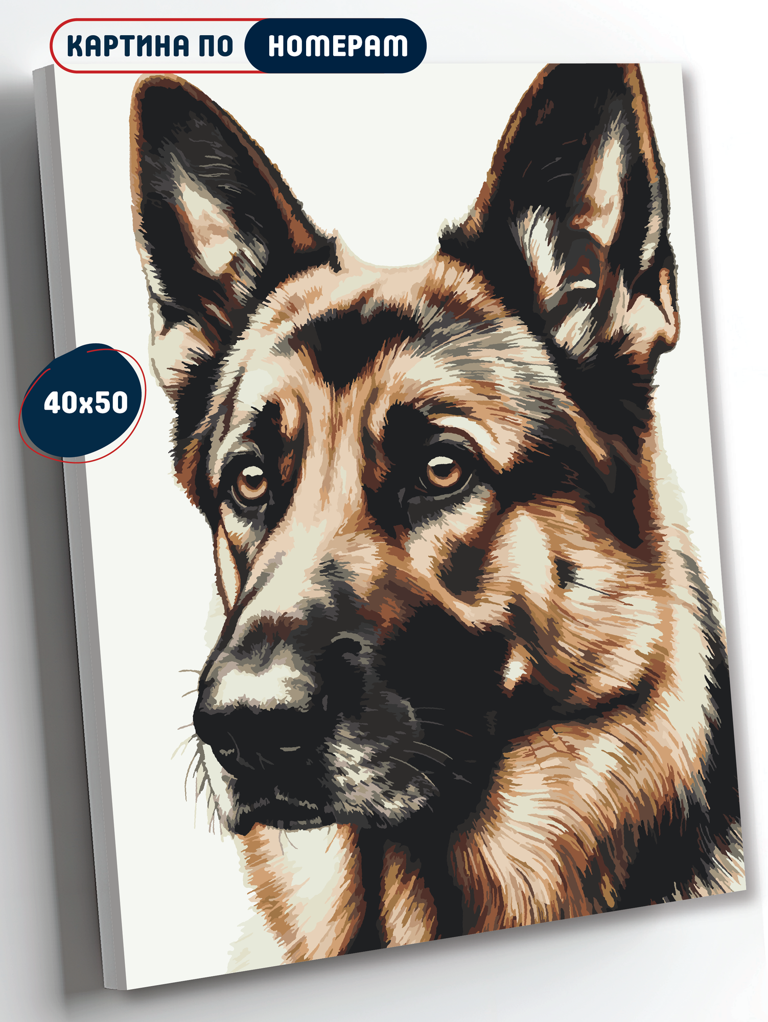 Картина по номерам "Овчарка" Холст на подрамнике 40х50, набор для рисования