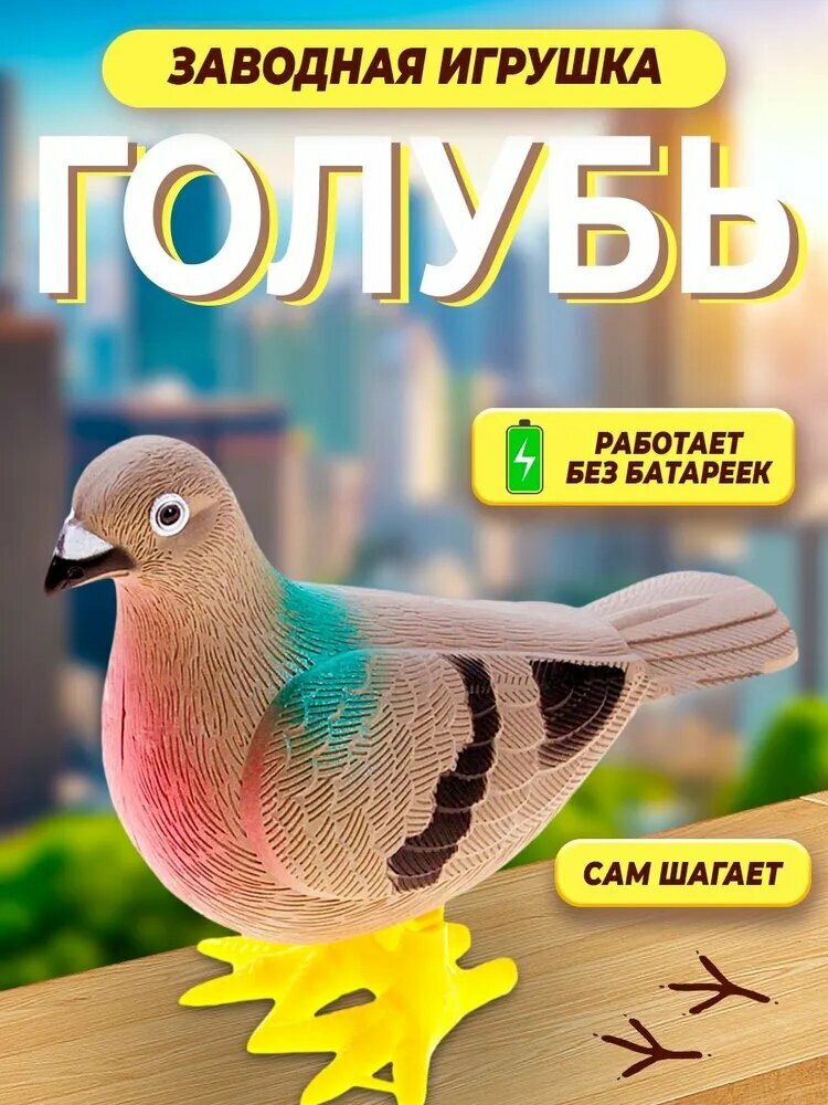 Голубь