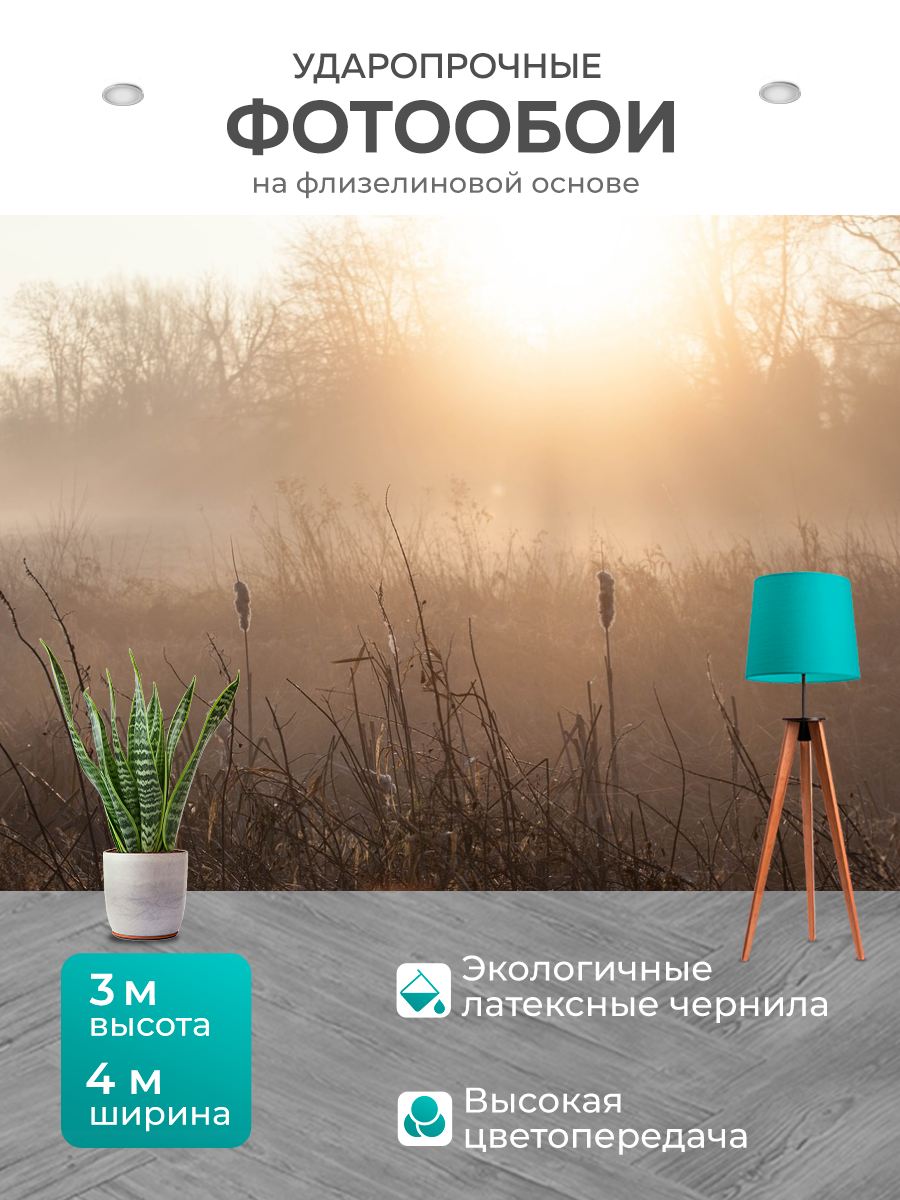 Фотообои моющиеся ударопрочные "Туман, утро, пейзаж" 400x300 см. флизелиновые на стену