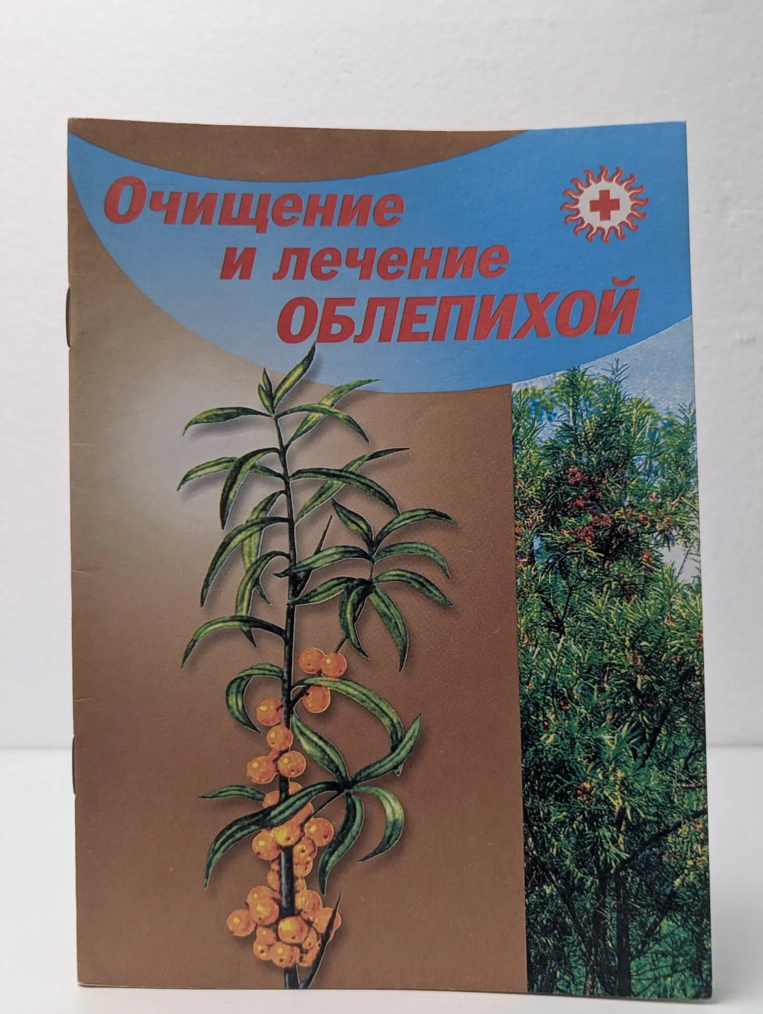 Очищение и лечение облепихой Преображенский Владимир (сост.) 2002