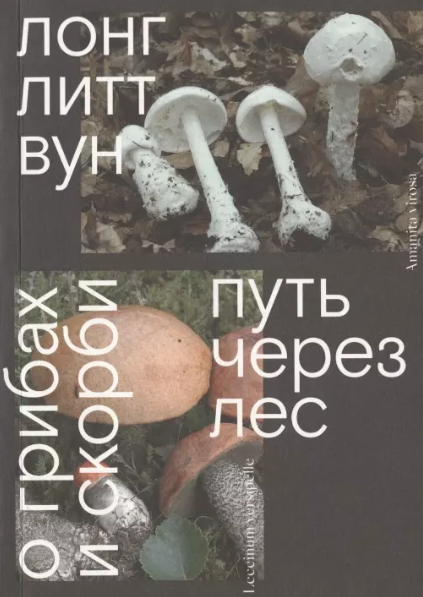 Путь через лес. О грибах и скорби