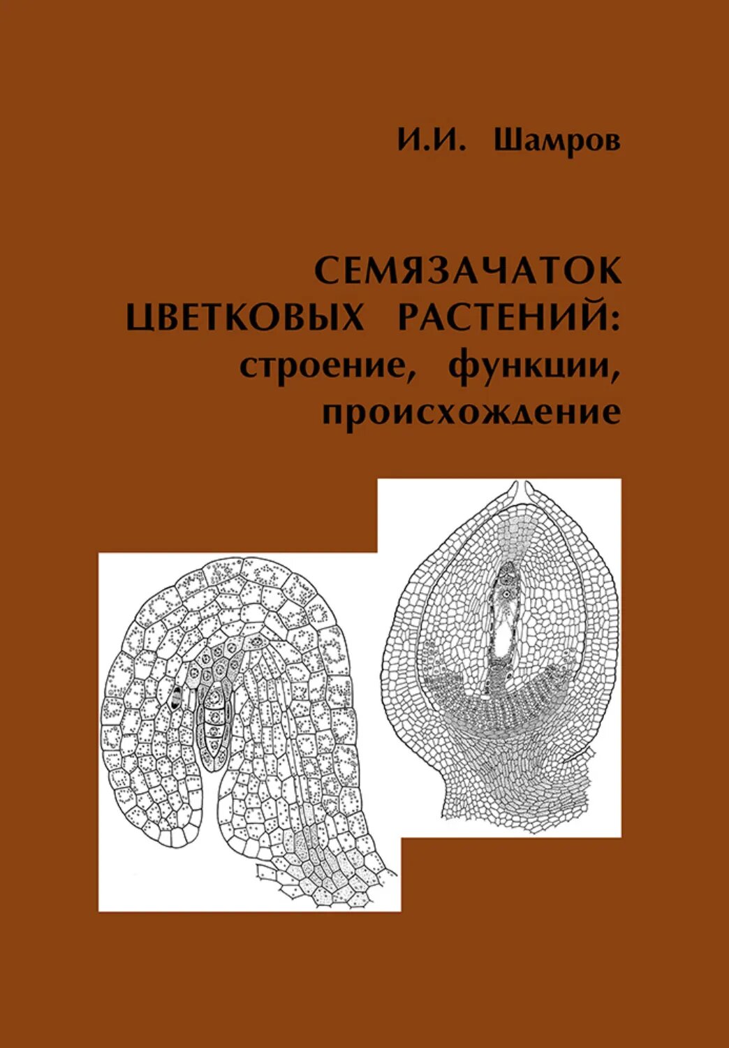 Семязачаток цветковых растений: строение, функции, происхождение [Цифровая книга]