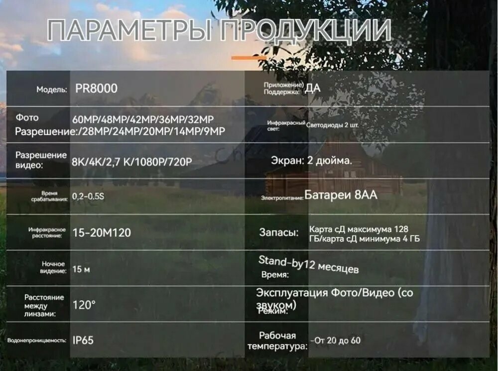 Фотоловушка — фото 1