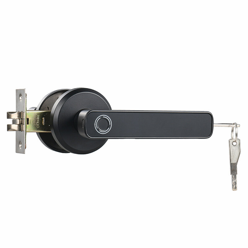 Умный замок Tuya, полностью автоматический замок с распознаванием лица, замок с паролем, дверной замок, замок с отпечатком пальца для домашнего использования