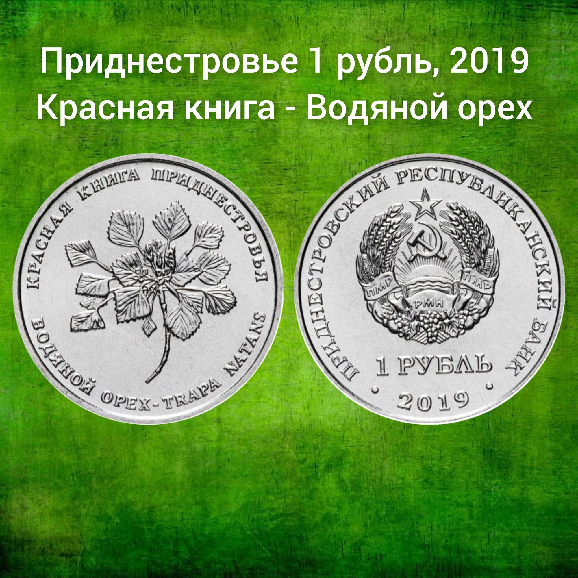 Приднестровье 1 рубль, 2019 Красная книга - Водяной орех (чилим)
