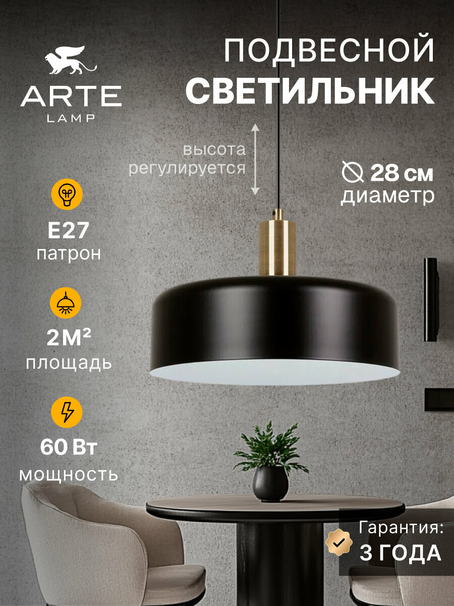 Подвесной светильник Arte Lamp SKAT A7052SP-1BK, E27, 60Вт, чёрный