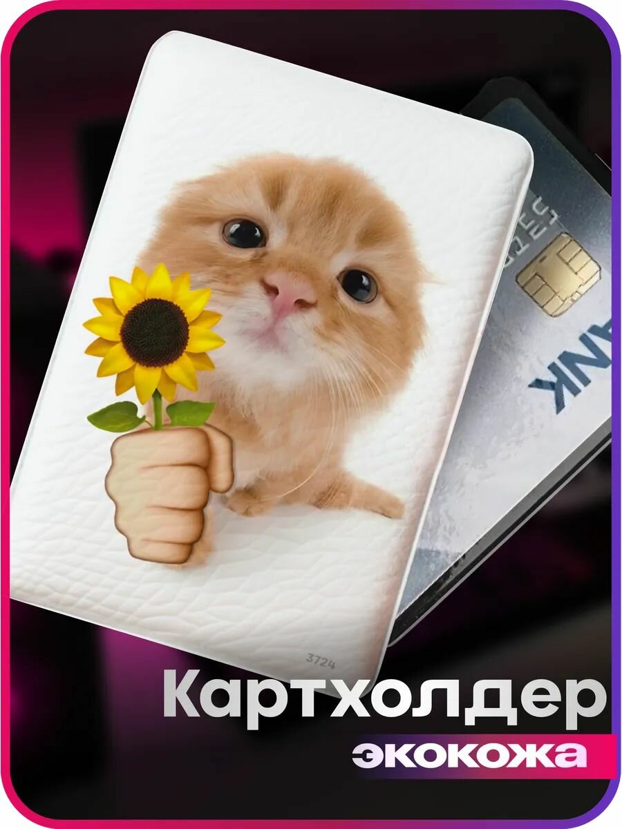 Бумажник