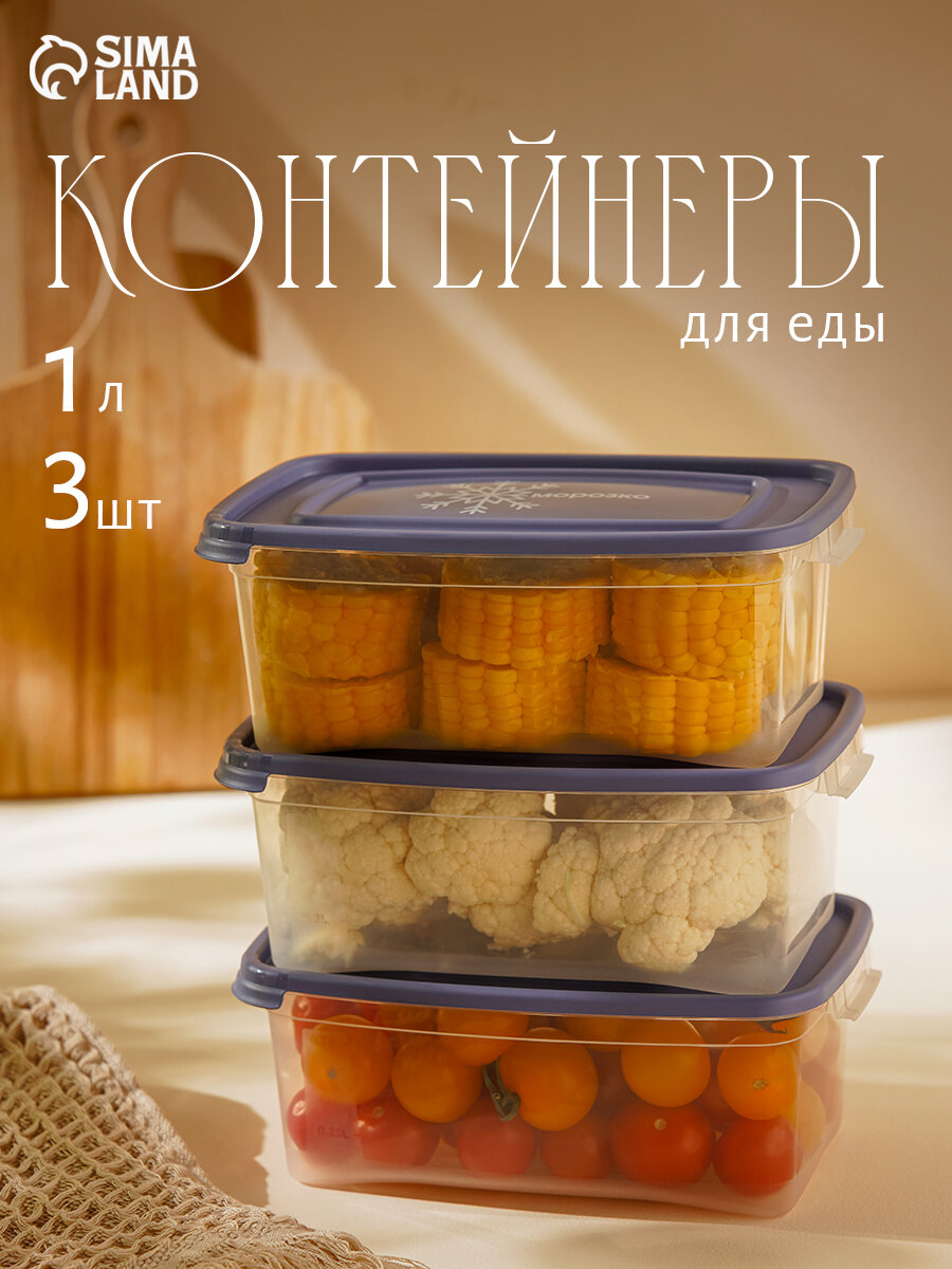 Набор прямоугольных контейнеров для замораживания продуктов «Морозко», 1 л , 3 шт, цвет микс