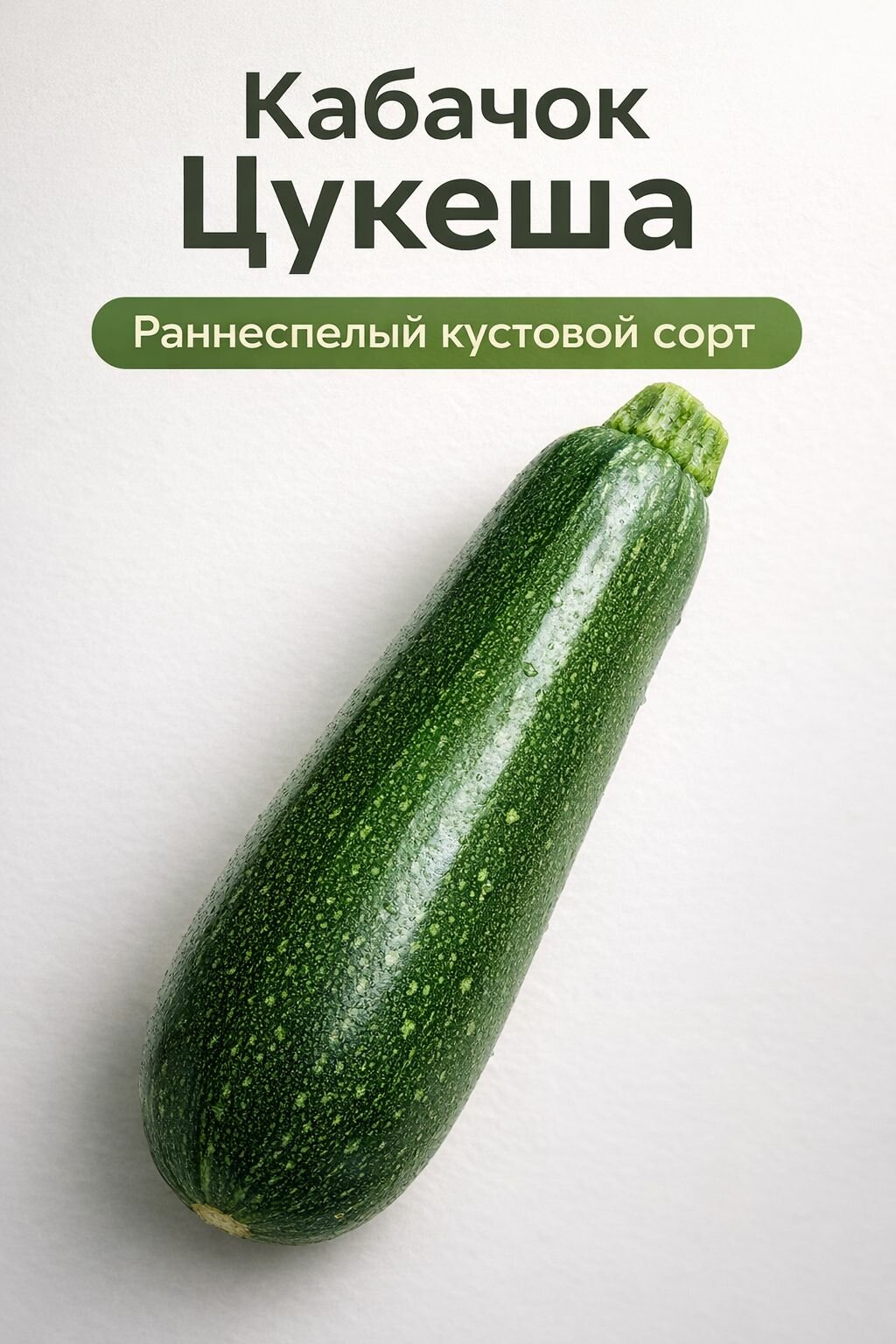 5шт Семена кабачка Цукеша раннеспелый кустовой сорт для открытого грунта