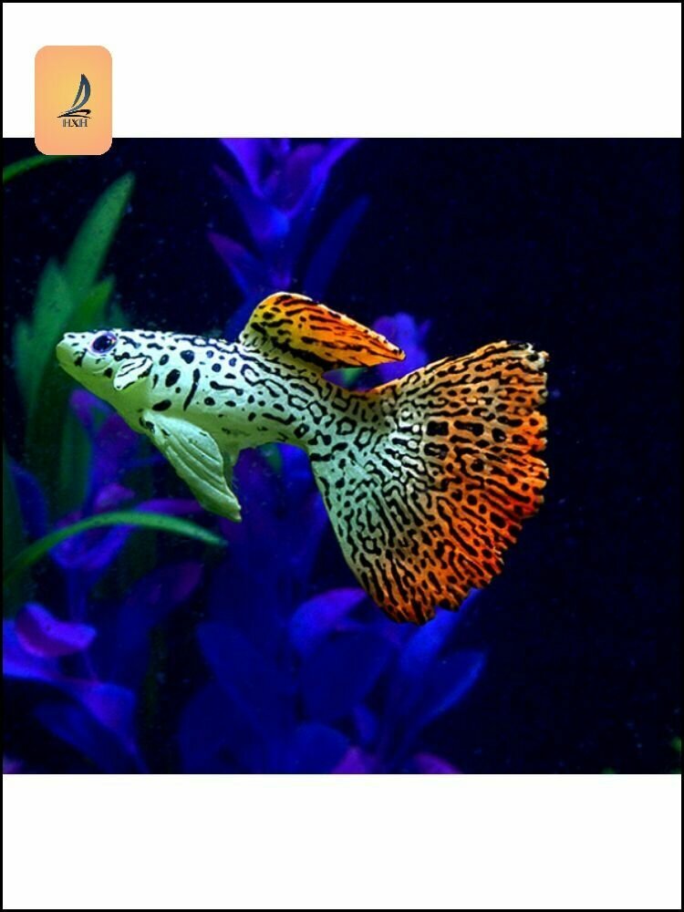 Силиконовые декоративные рыбки гуппи для аквариума морская тематика