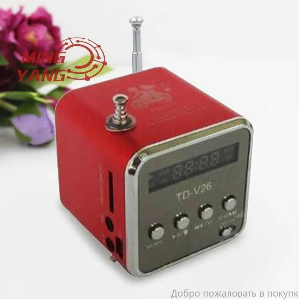 TD-V26 Цифровой портативный мини FM-радиоприемник, черный