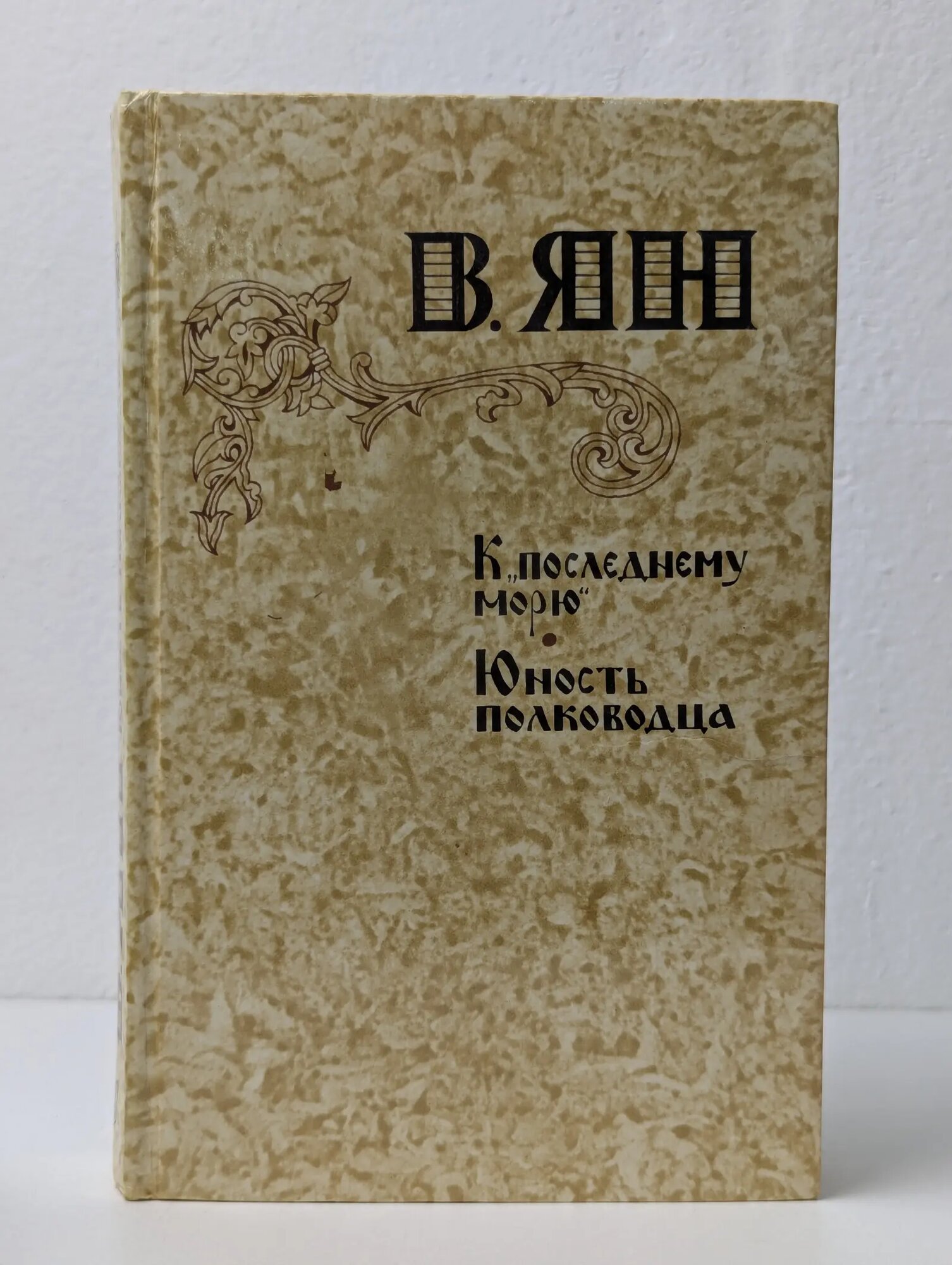 К "последнему морю". Юность полководца Василий Ян Григорьевич 1981