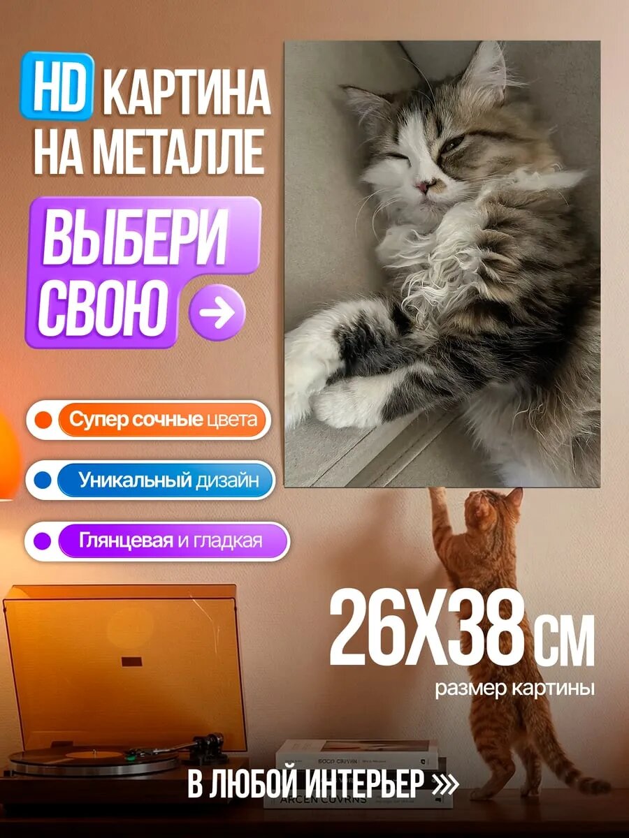 Картина на HD металле Кот отдыхает на диване