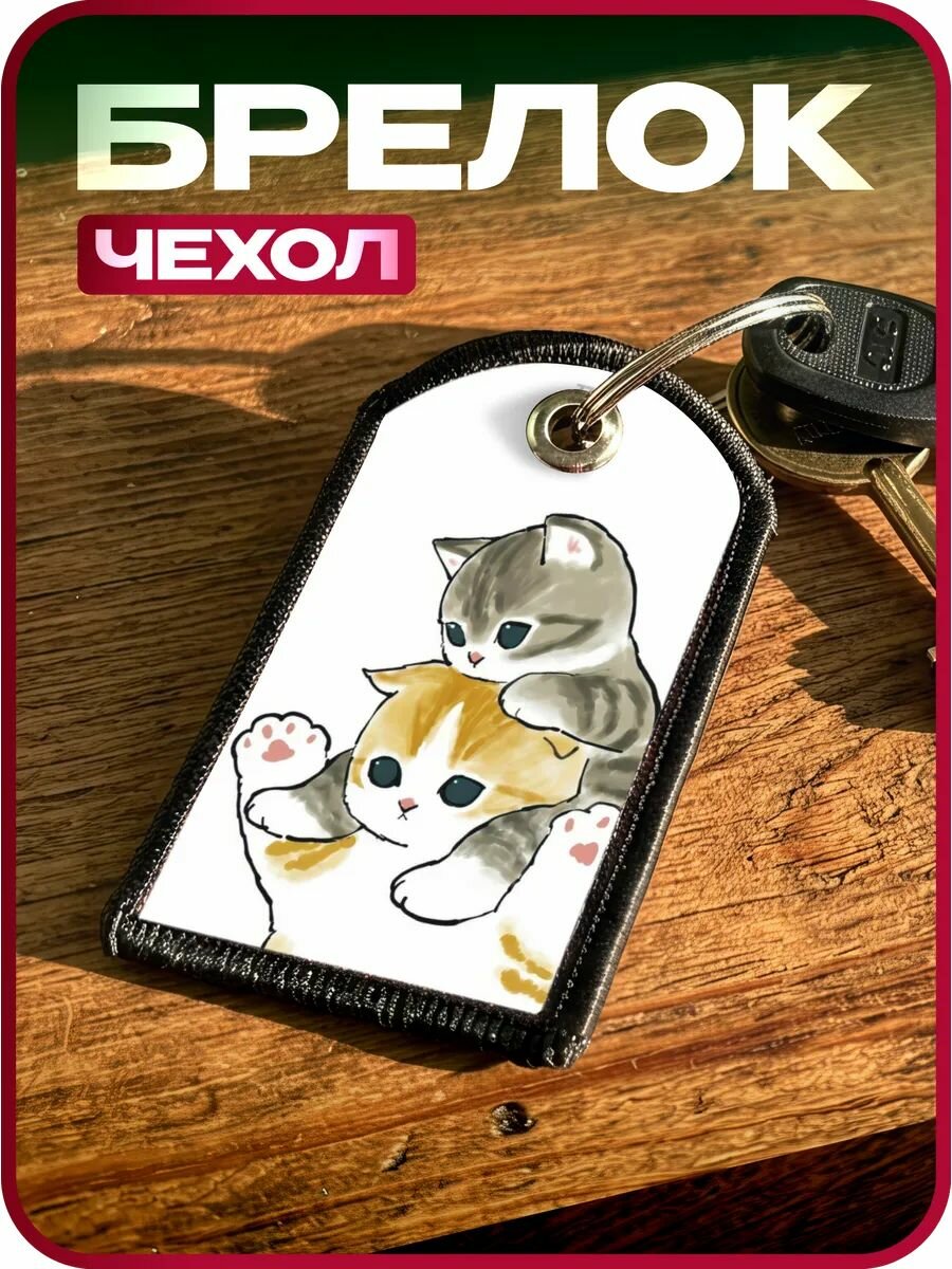 Чехол для ключа домофона Котики