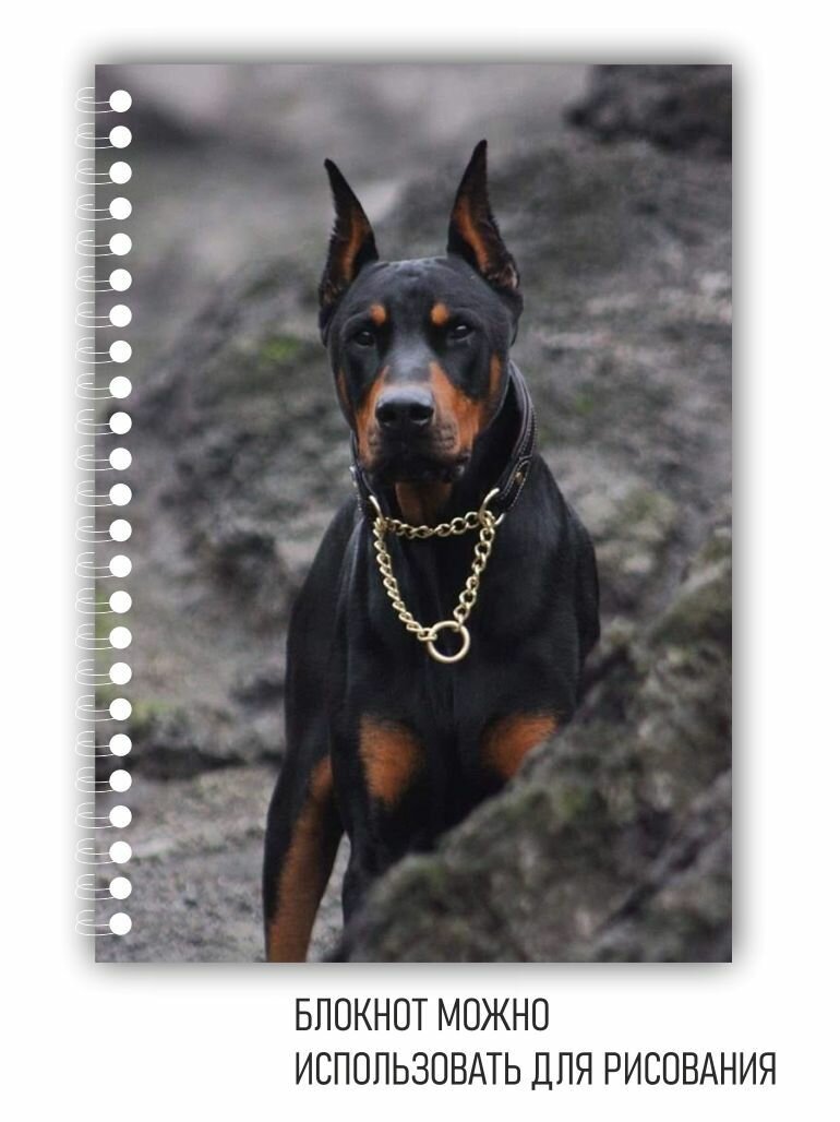 Блокнот Доберман , Doberman, блокнот А5 — фото 1