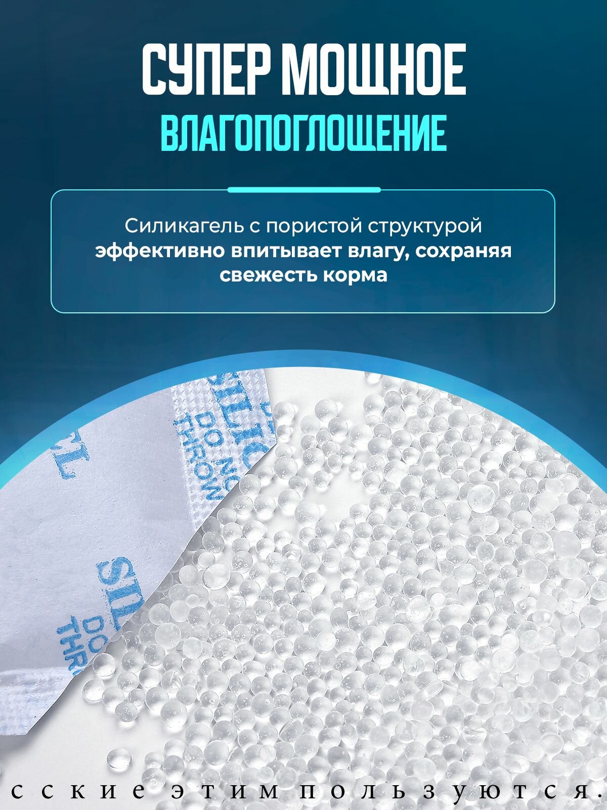Автокормушка — фото 1