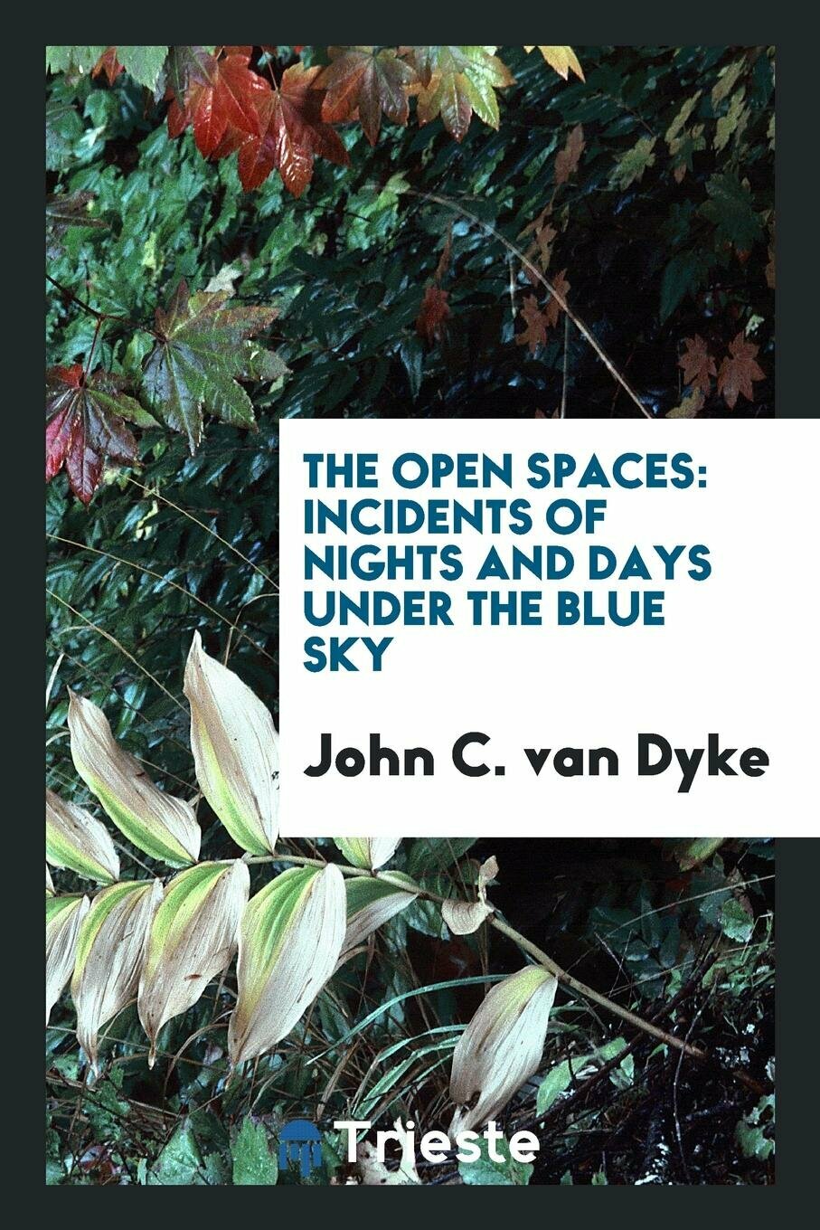 The Open Spaces. Incidents of Nights and Days Under the Blue Sky
