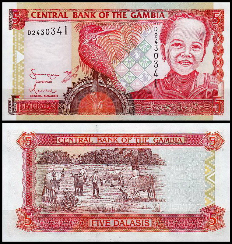 Гамбия 5 даласи 2001 (UNC Pick 20)
