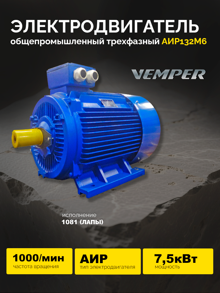 Электродвигатель трехфазный общепромышленный VEMPER АИР132М6 7,5кВт 1000об/мин (исполнение лапы)
