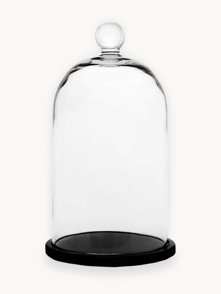 Колпак с подставкой «Родрик» стекло цвет прозрачный 25 см