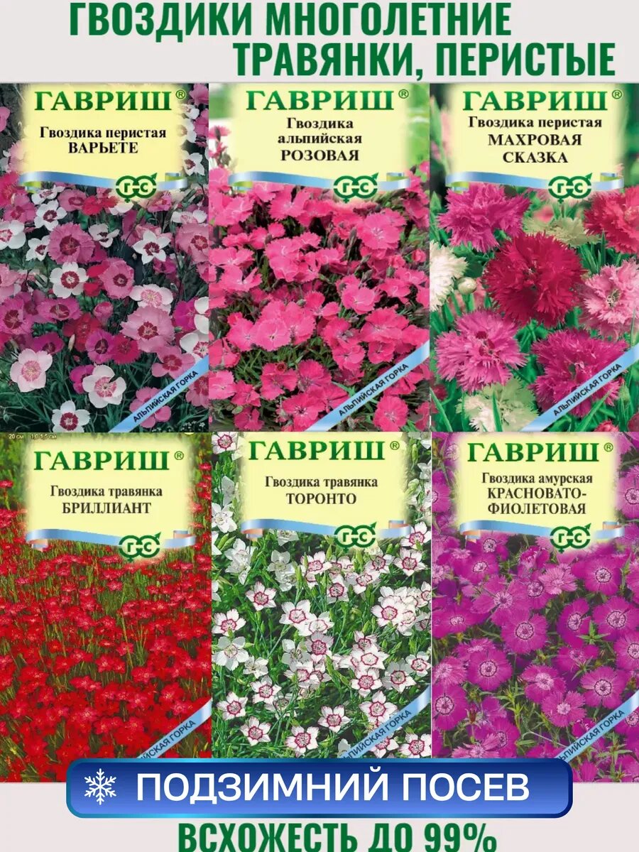 Семена гвоздики многолетней набор 6 пакетов