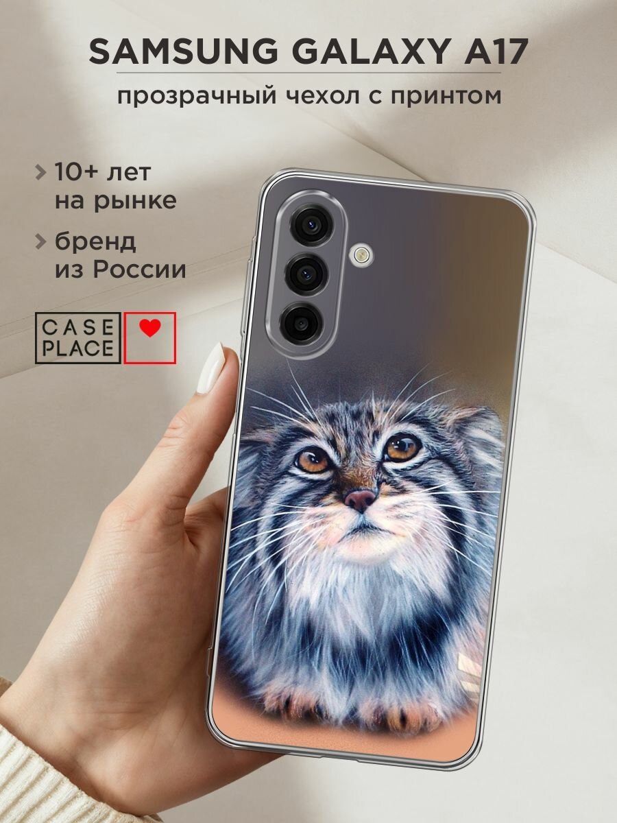 Чехол на Samsung Galaxy A17 / Самсунг А17 с принтом "Кот манул 2"