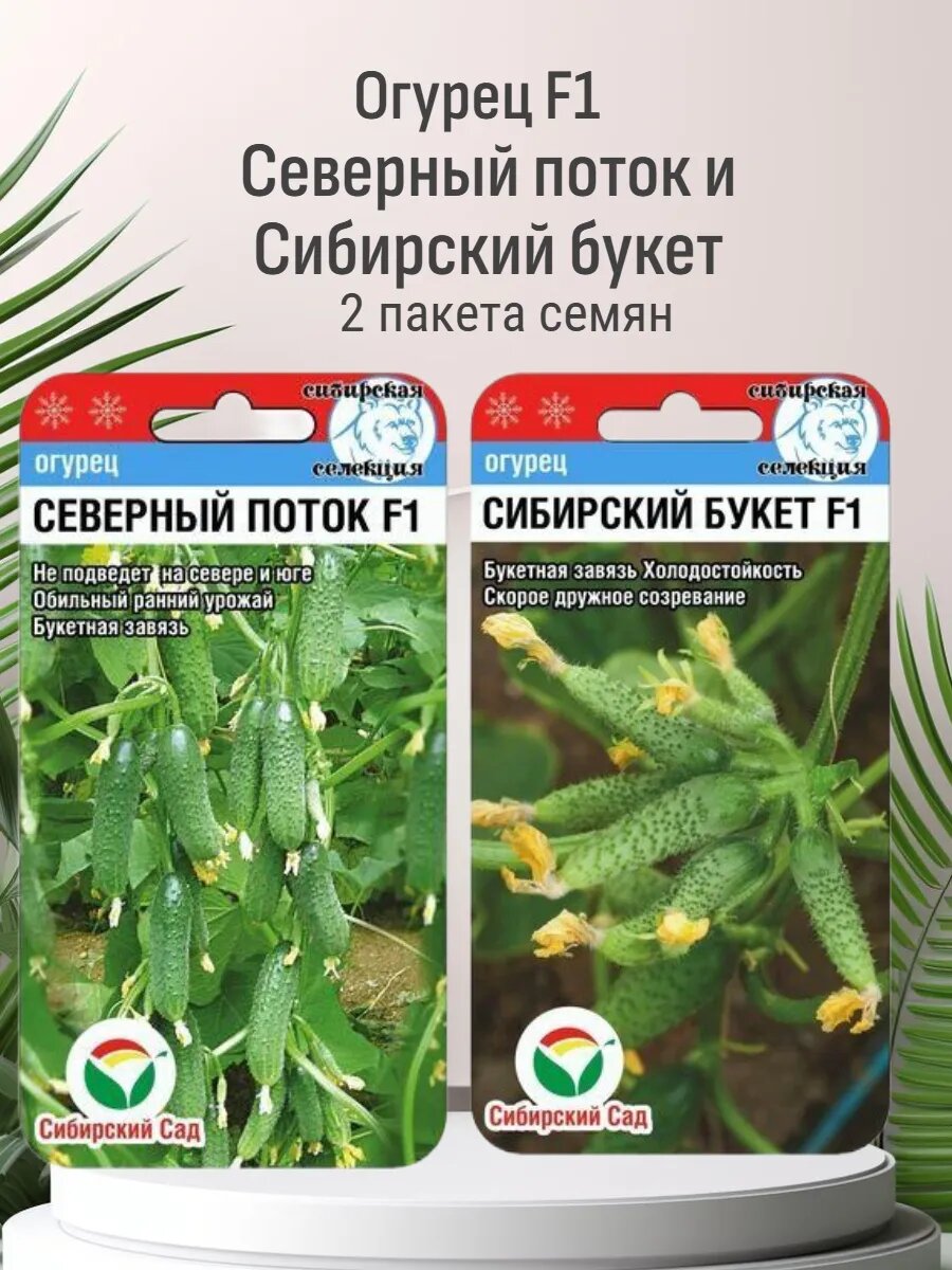 Огурец Северный поток F1 и Сибирский букет F1 2 пакета