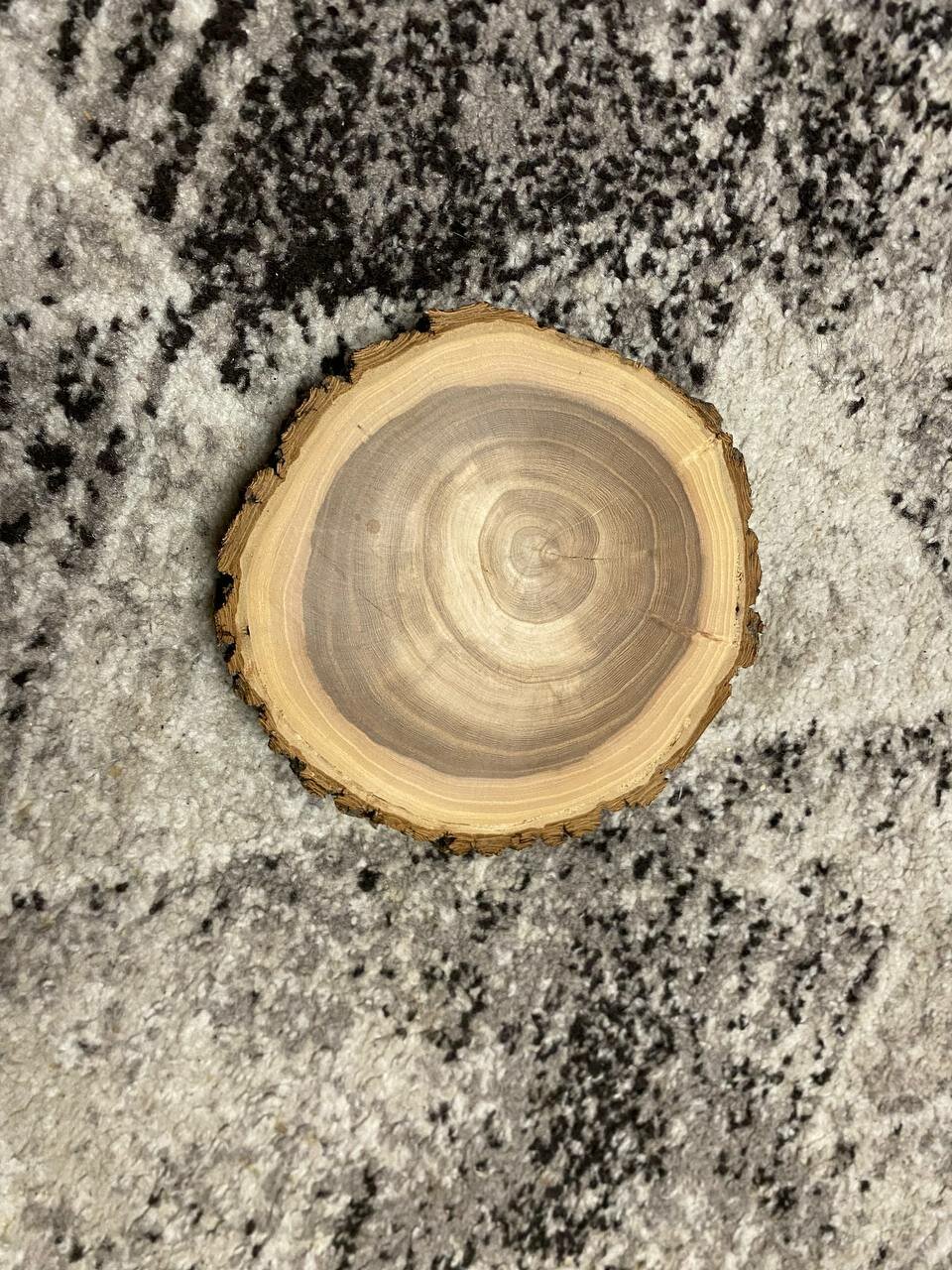 Спилы дерева Карагач. Для творчества и рукоделия.