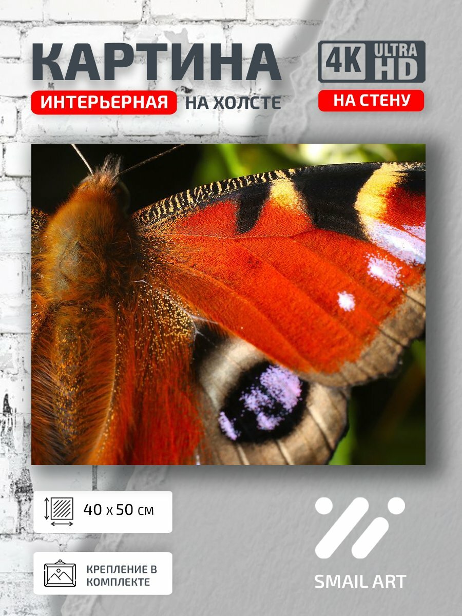 Картина на холсте интерьерная 40 на 50 на стену Узоры Landscape для кабинета пейзаж декор