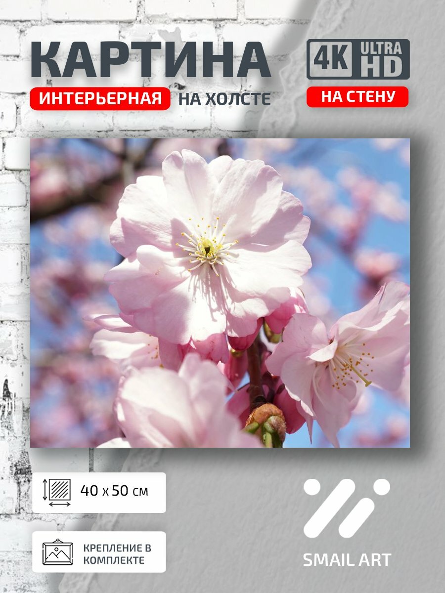 Картина на холсте интерьерная 40 на 50 на стену Цветок Mood для кабинета атмосфера интерьер