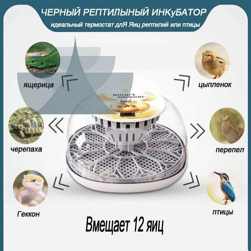 Инкубатор для рептилий. С индикатором влажности, Температуру можно регулировать в диапазоне от 10 до 40; Вмещает 12 яиц