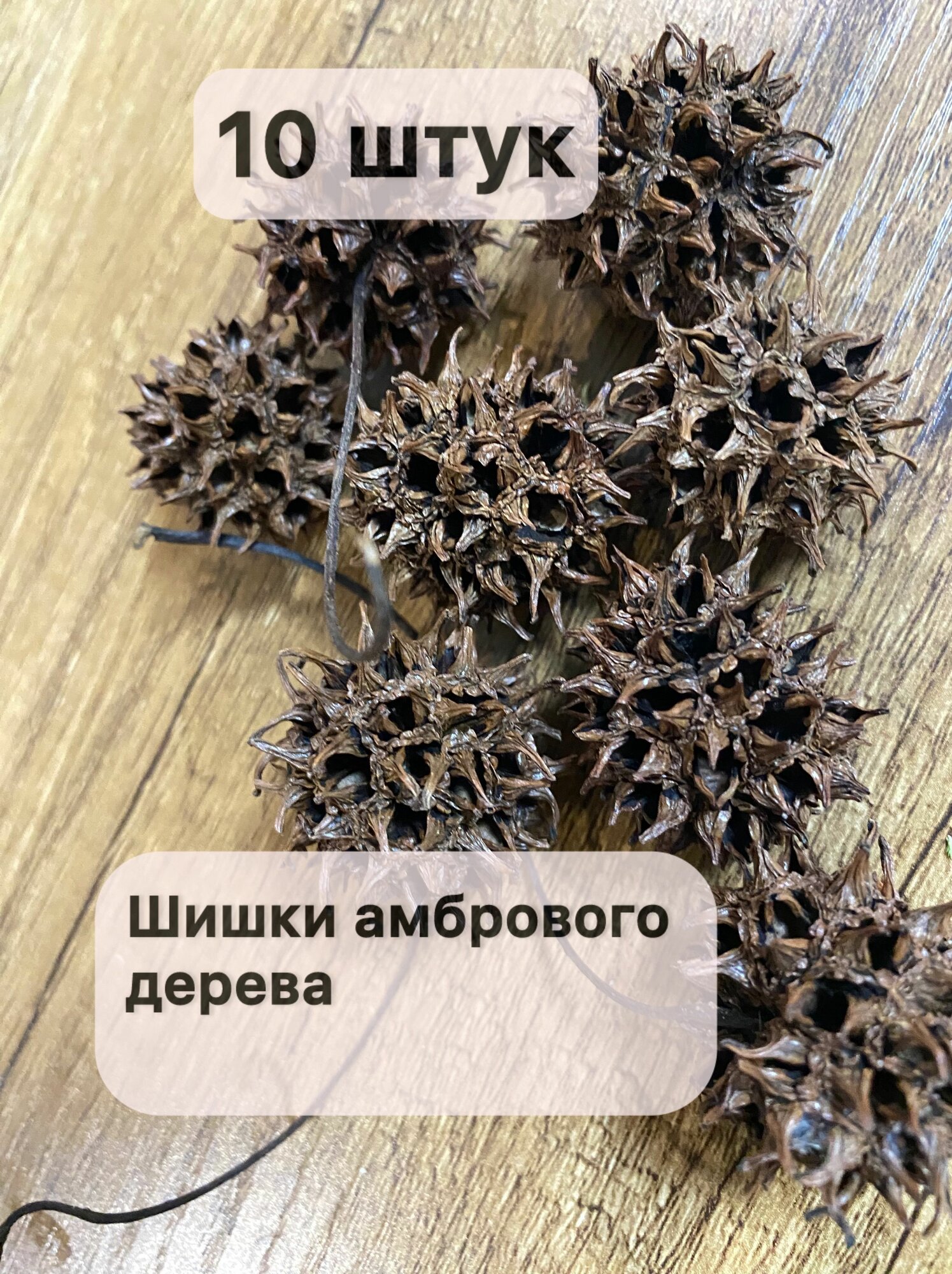 Шишки амбрового дерева