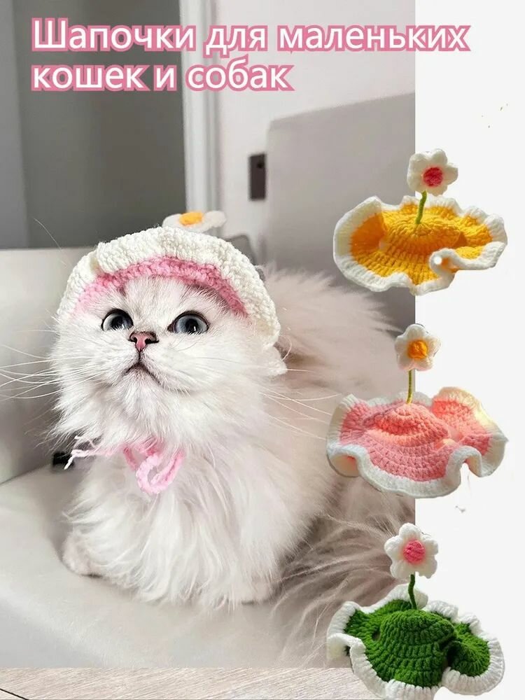 Вязаные шапочки для кошек и собак