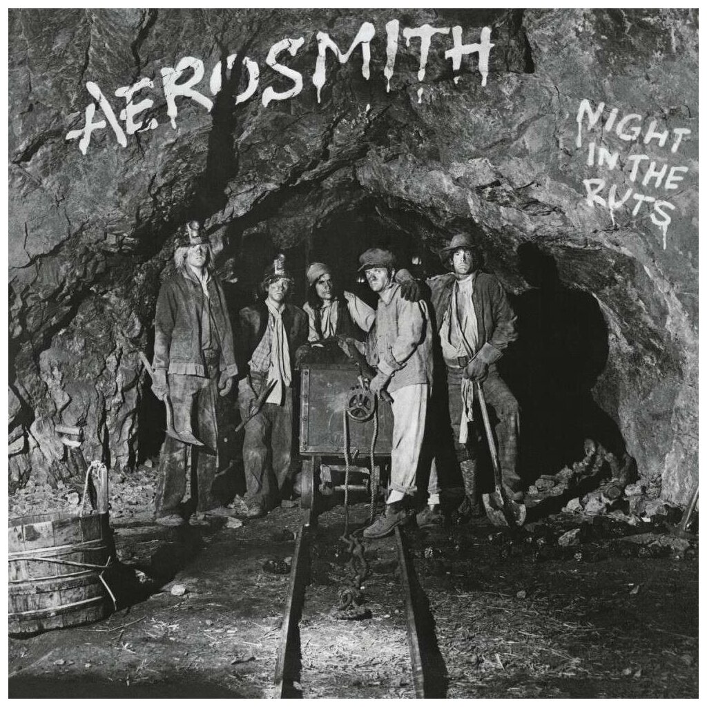 Виниловая пластинка Aerosmith - Night In The Ruts (remastered) (180g) (Limited Numbered Edition) (1 LP)