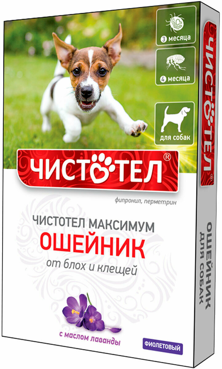 Чистотел максимум ошейник для собак против блох и клещей фиолетовый 65 см (1 шт)