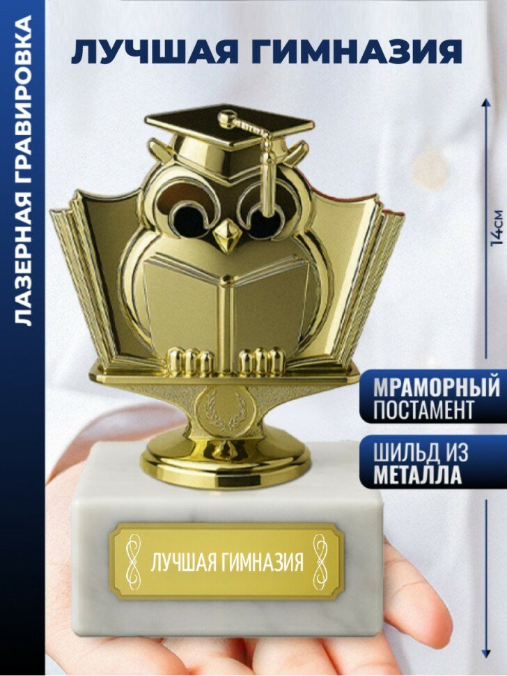Статуэтка Учёная сова "Лучшая гимназия"