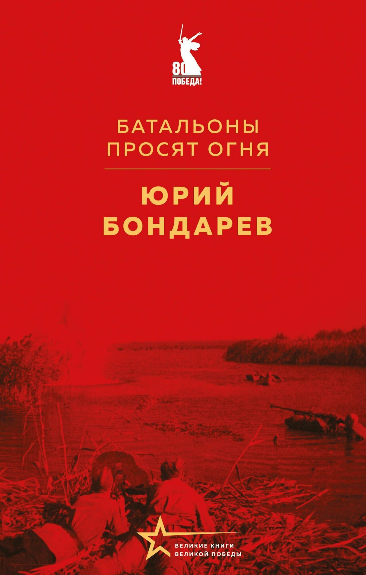 Книга "Батальоны просят огня"