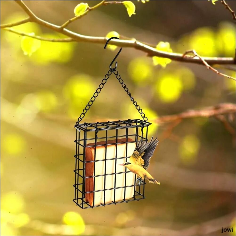 Квадратная подвесная кормушка для птиц с проволочной сеткой и цепью, подходит для хлеба, фруктов и корма для колибри