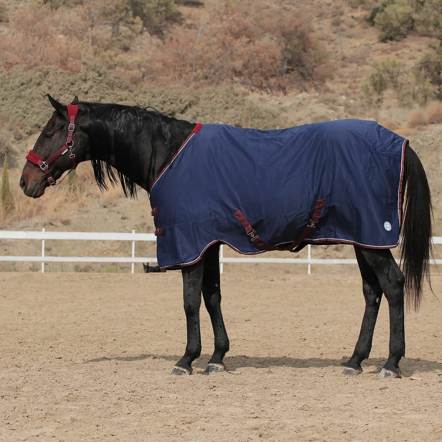 Попона для лошади денниковая демисезонная FLEECE-LINED на флисе синий 165